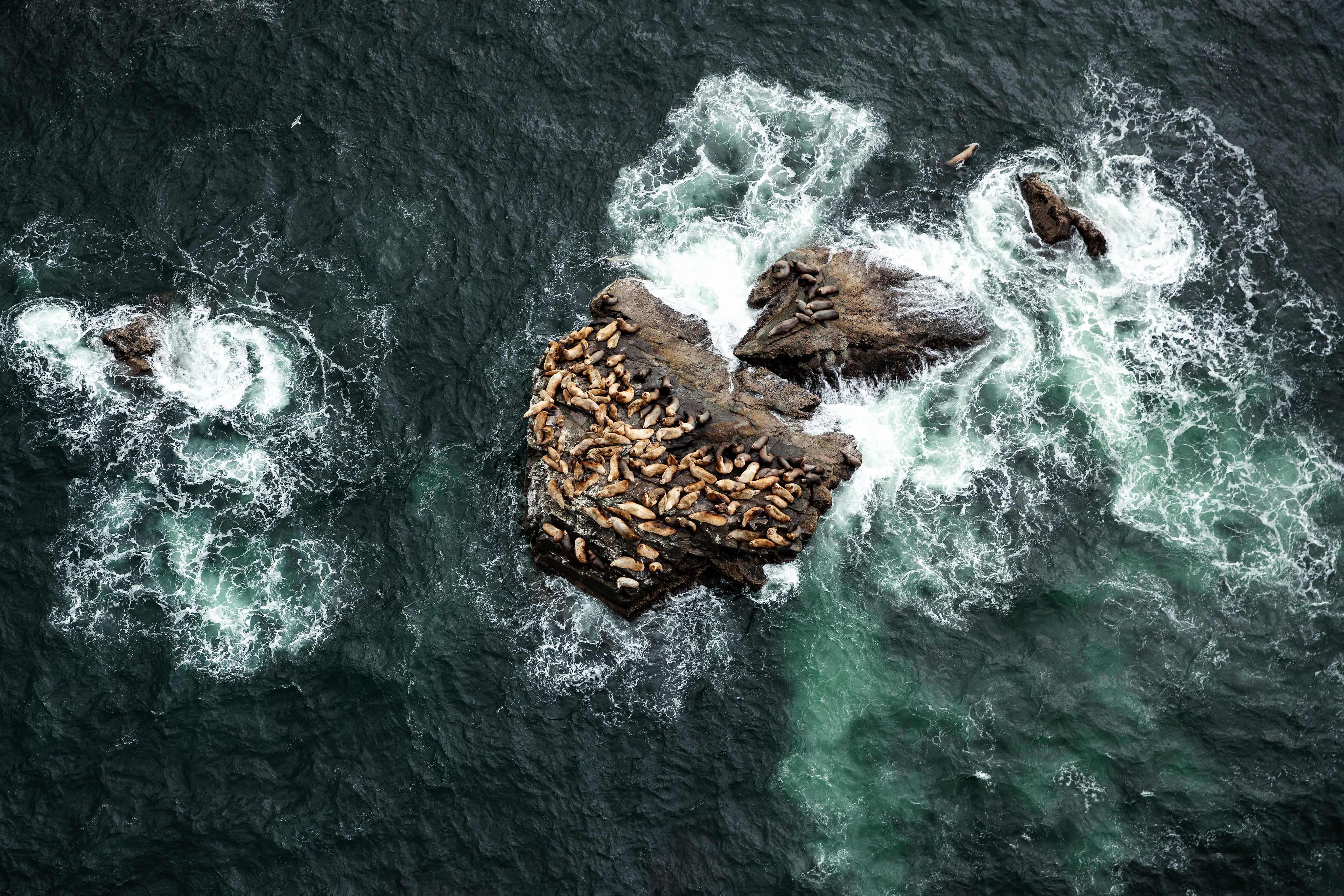 New Work – Kyler Vos Print Shop