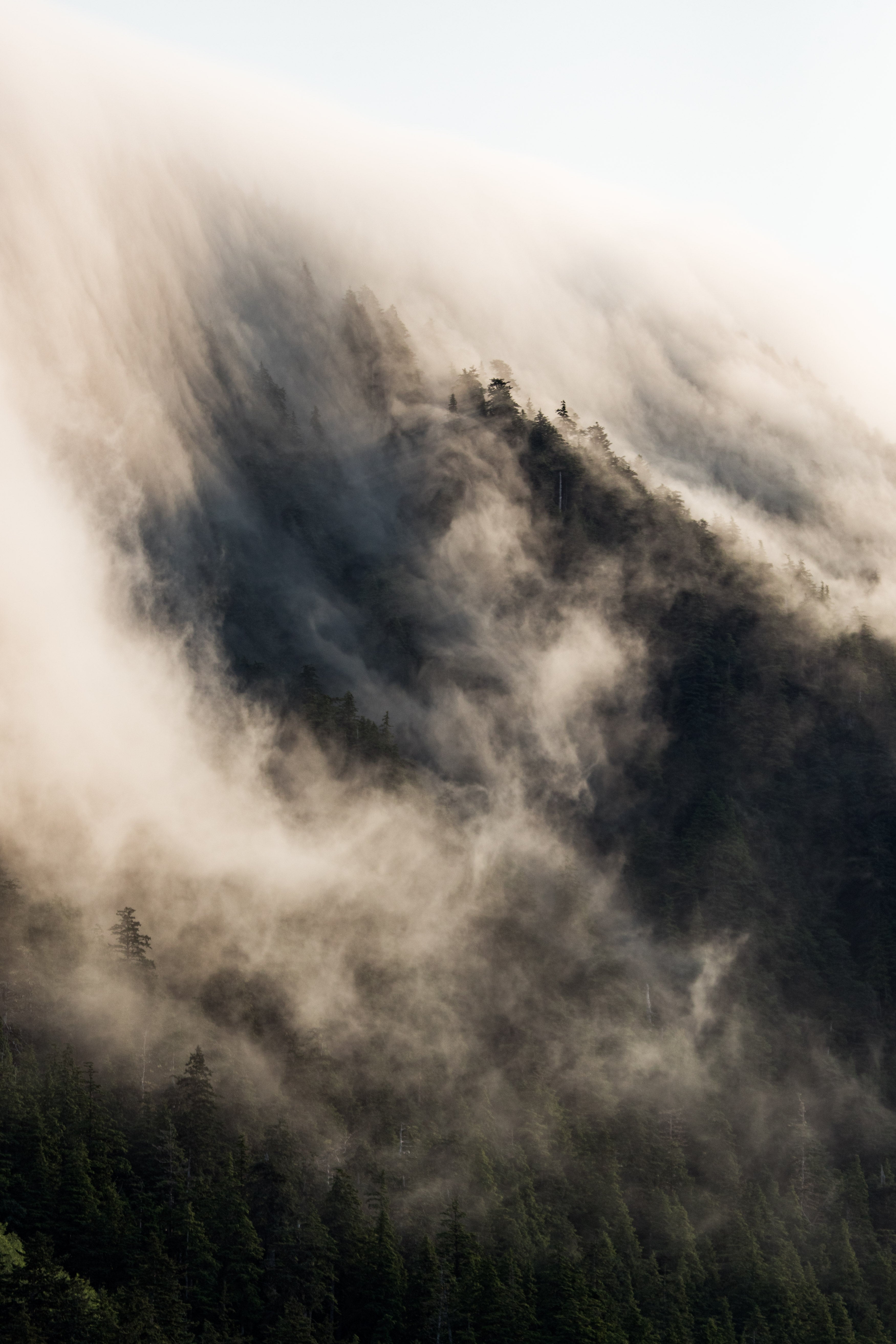 Falling Fog – Kyler Vos Print Shop