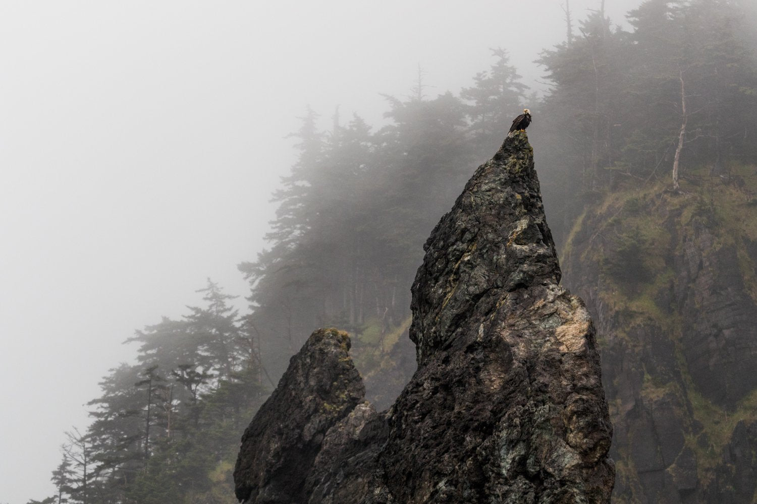 South Pass Watchman – Kyler Vos Print Shop