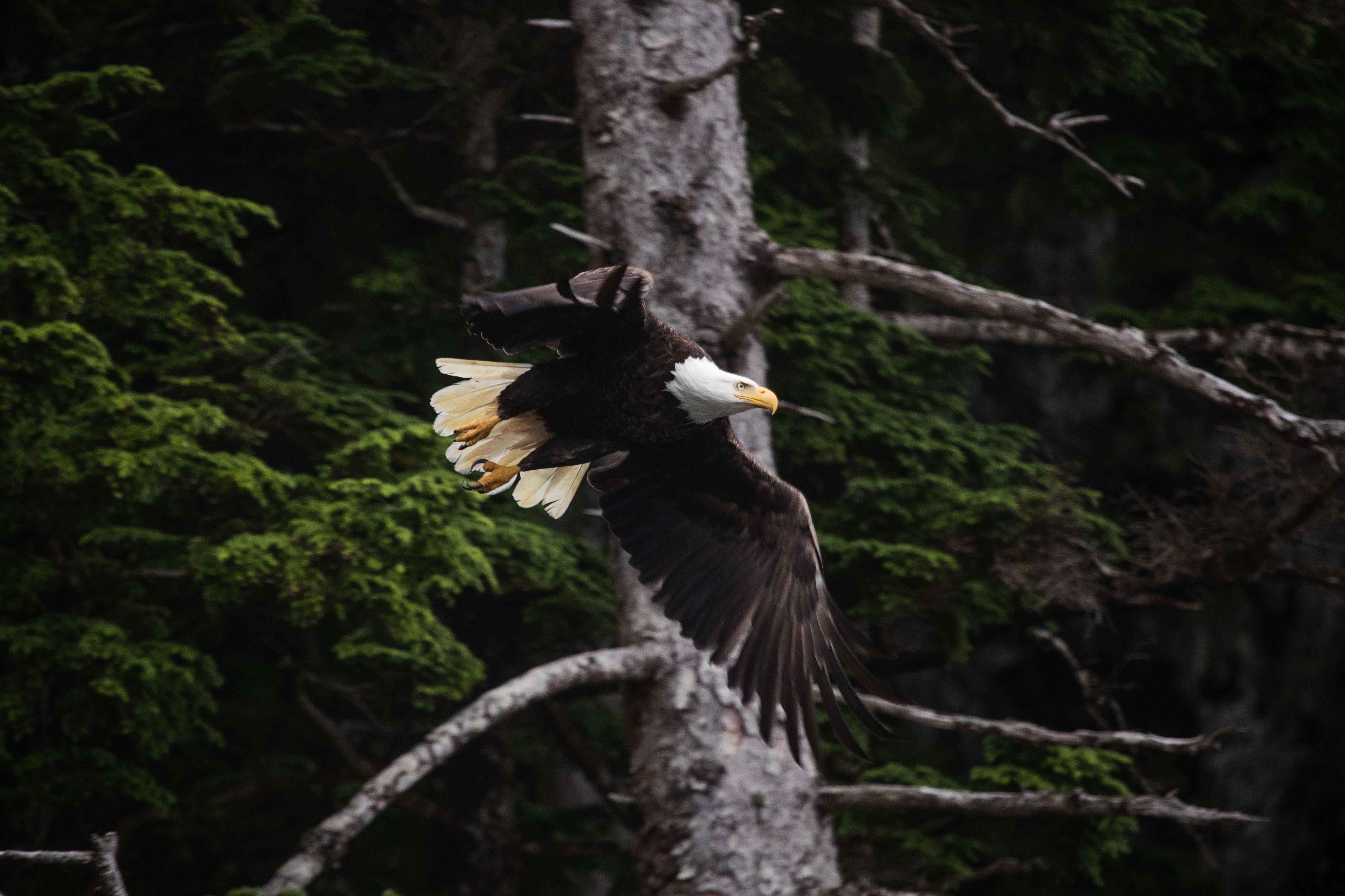 Take Off – Kyler Vos Print Shop